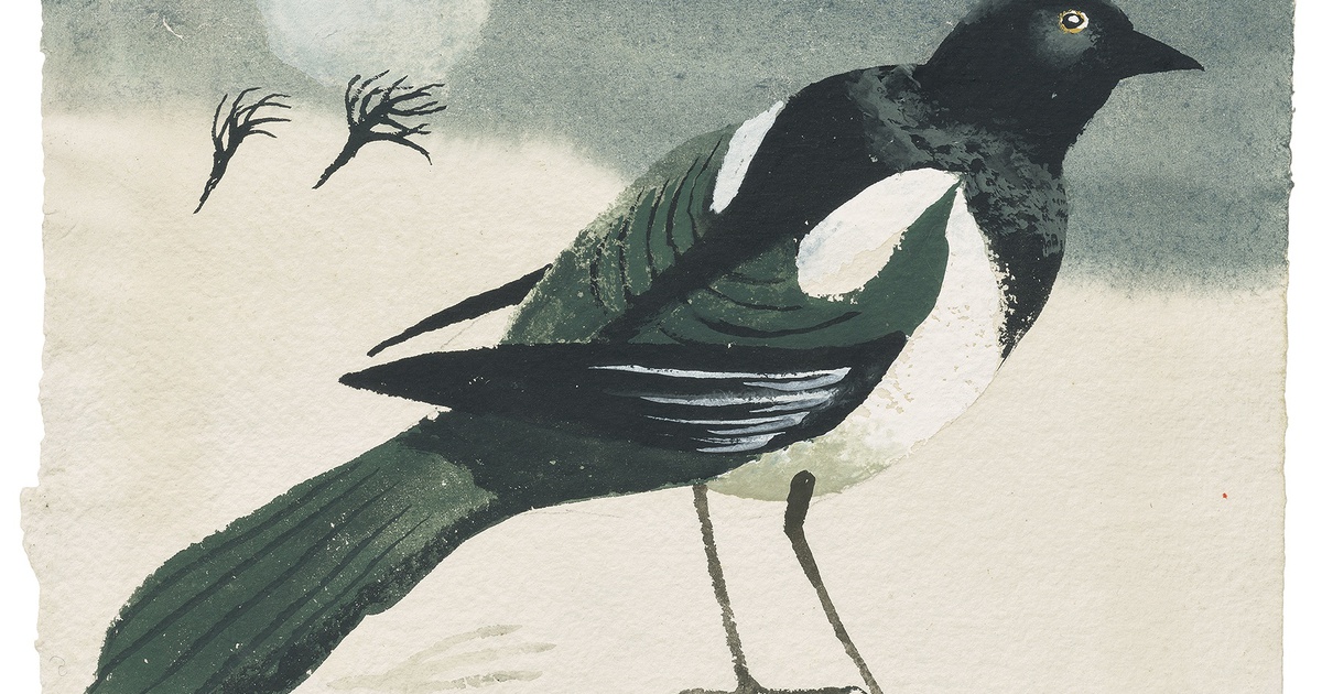 Tom Wood - Exhibitions | Portland Gallery